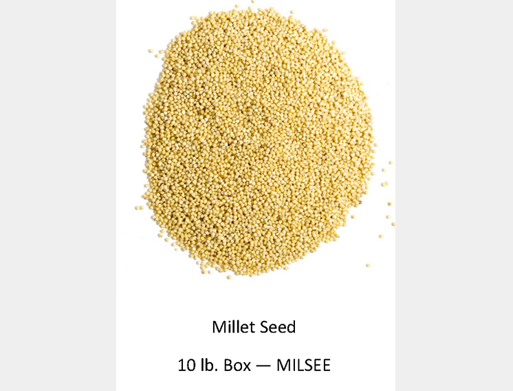 Seeds – Artisan Specialty Foods